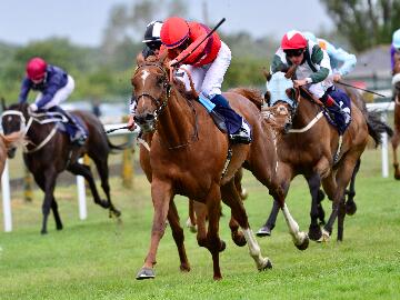 Great Yarmouth Racecourse