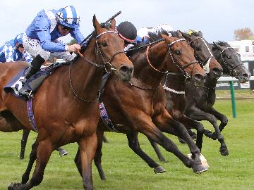 Great Yarmouth Racecourse | Great Yarmouth Races