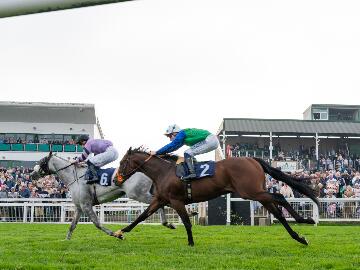 Great Yarmouth Racecourse