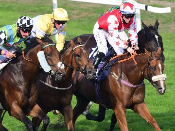 Great Yarmouth Racecourse