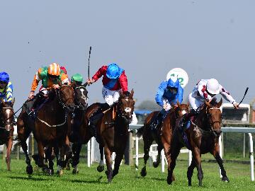 Whats On | Great Yarmouth Racecourse