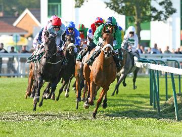 Buying Tickets | Great Yarmouth Racecourse